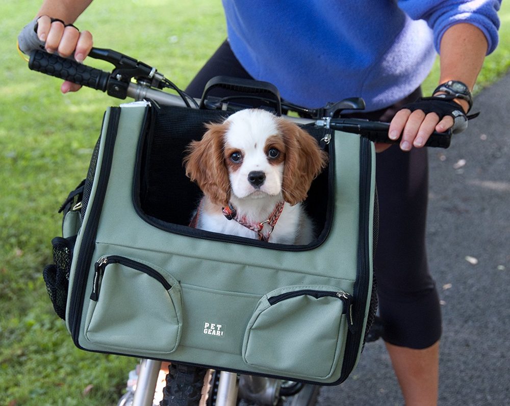 10 Best Dog Carriers Reviewed & Rated in 2024 | TheGearHunt