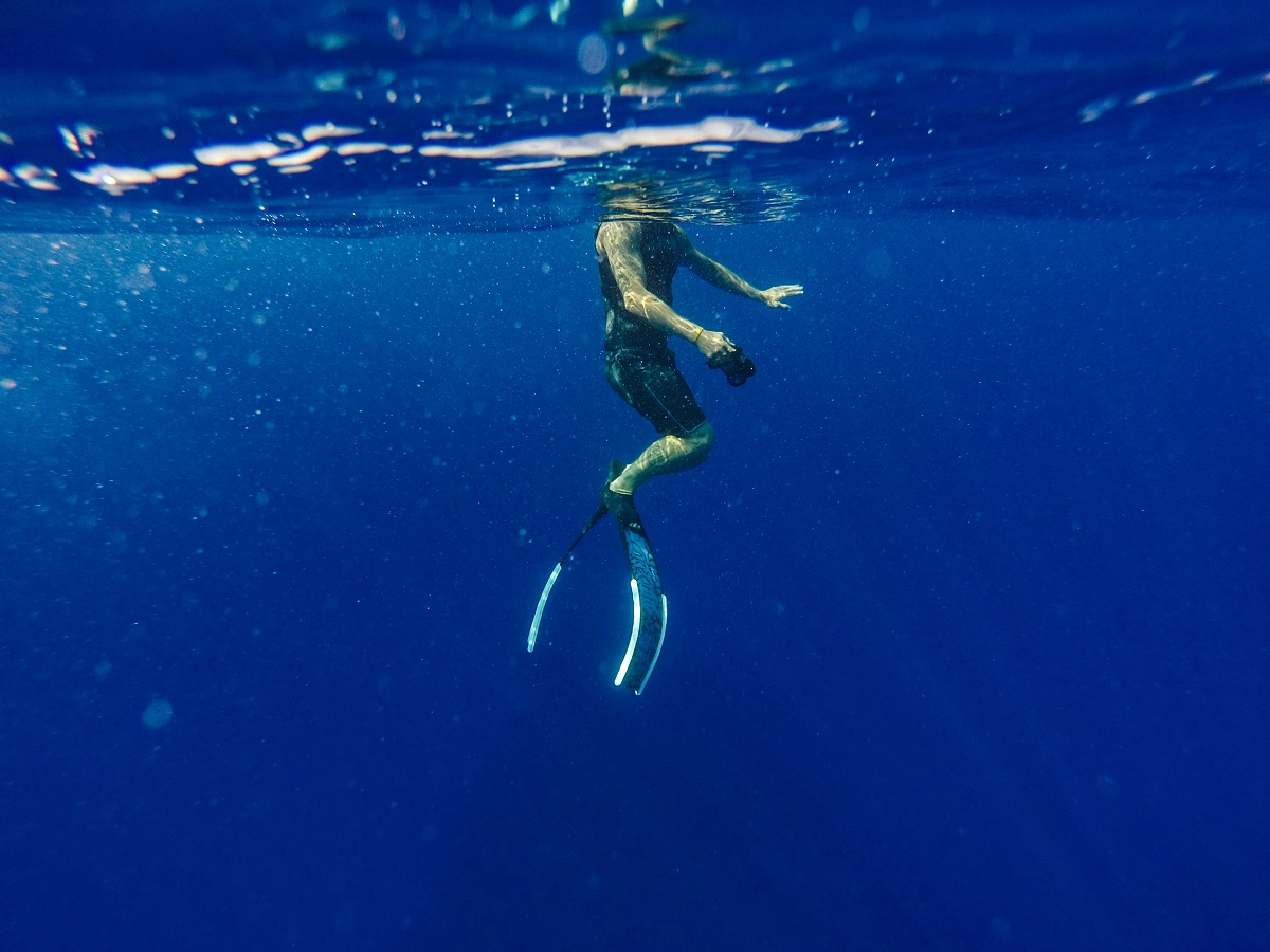 10 Best Flippers Reviewed in 2024 | TheGearHunt